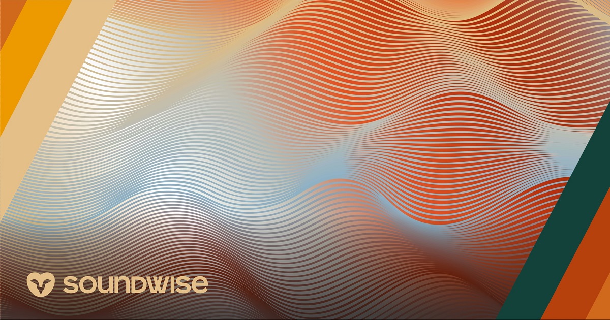 Sonic Brand Flow: What It Is and How To Get It - SoundWise